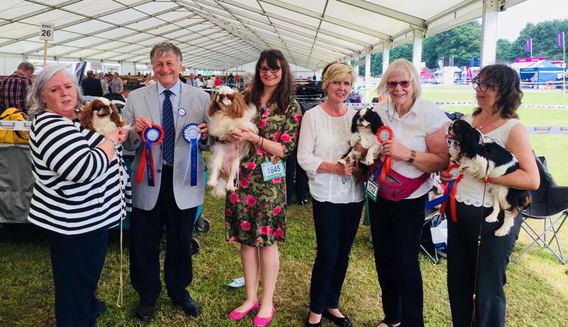 Southern Counties 18